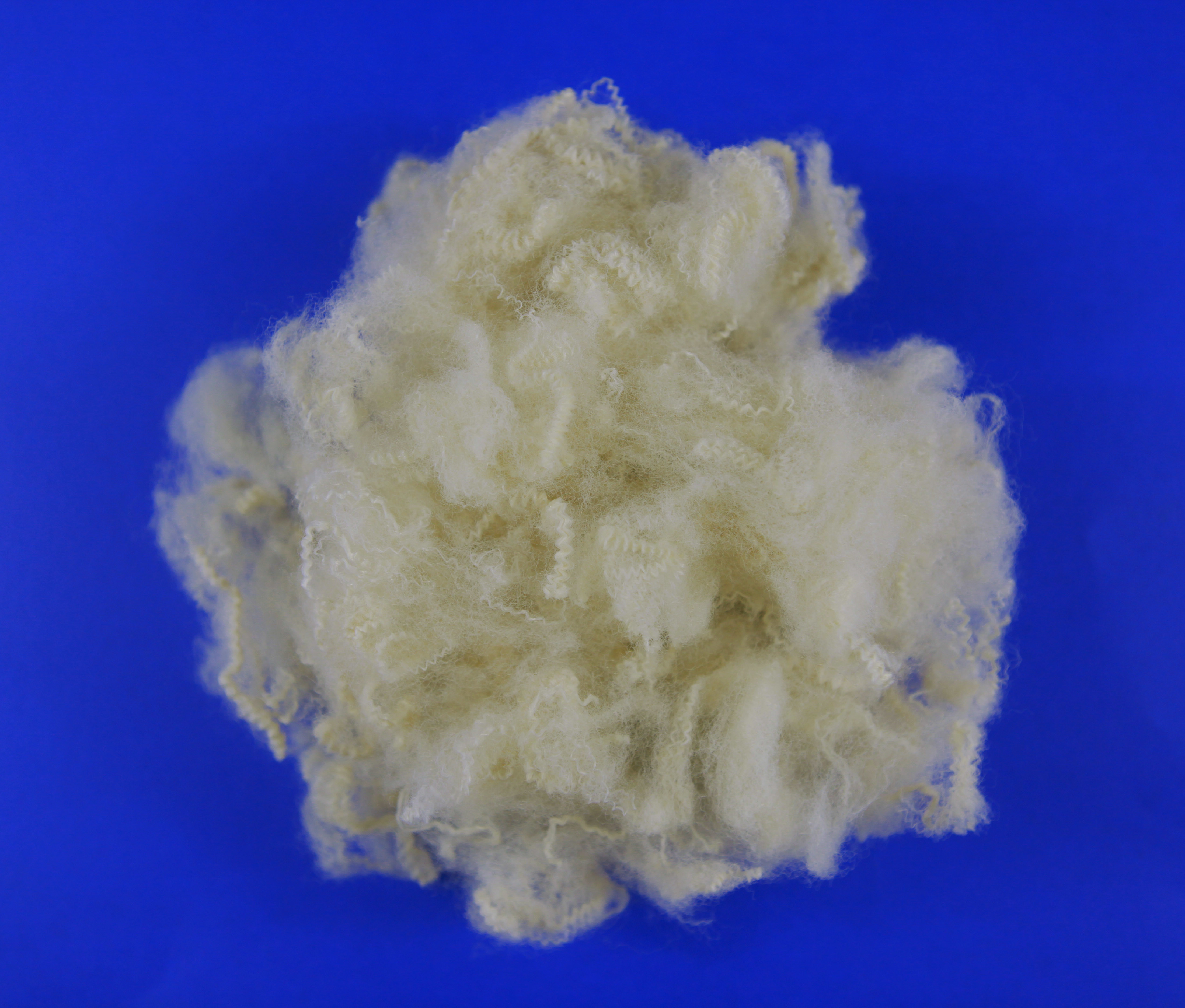 Good Elasticity Functional Polyester Staple Fiber 10D*76MM For Spinning ...